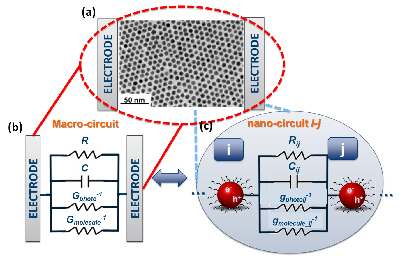 Main research topics - Plasmo-electronic